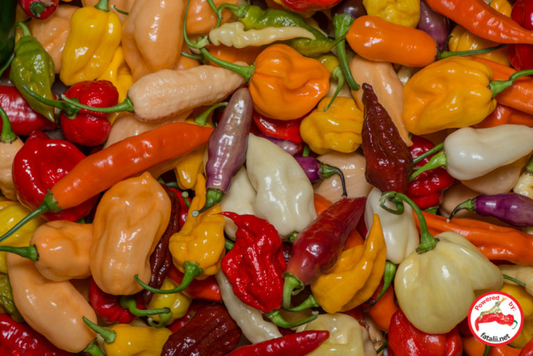 Gallery » Fatalii Seeds