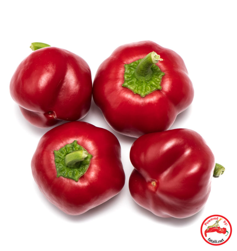 Baby Red – Fatalii Seeds