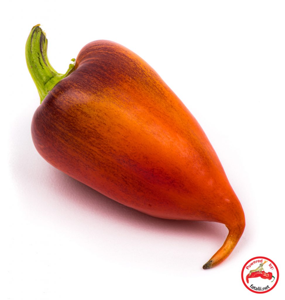 Violet Sparkle – Fatalii Seeds