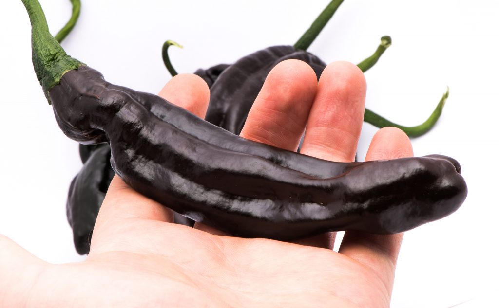 Chilaca – Fatalii Seeds