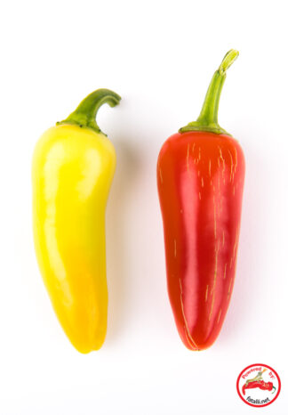 Jalapeno, White – Fatalii Seeds