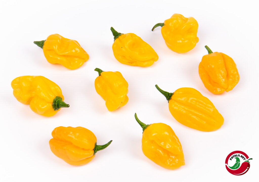 Numex Suave, Orange – Fatalii Seeds
