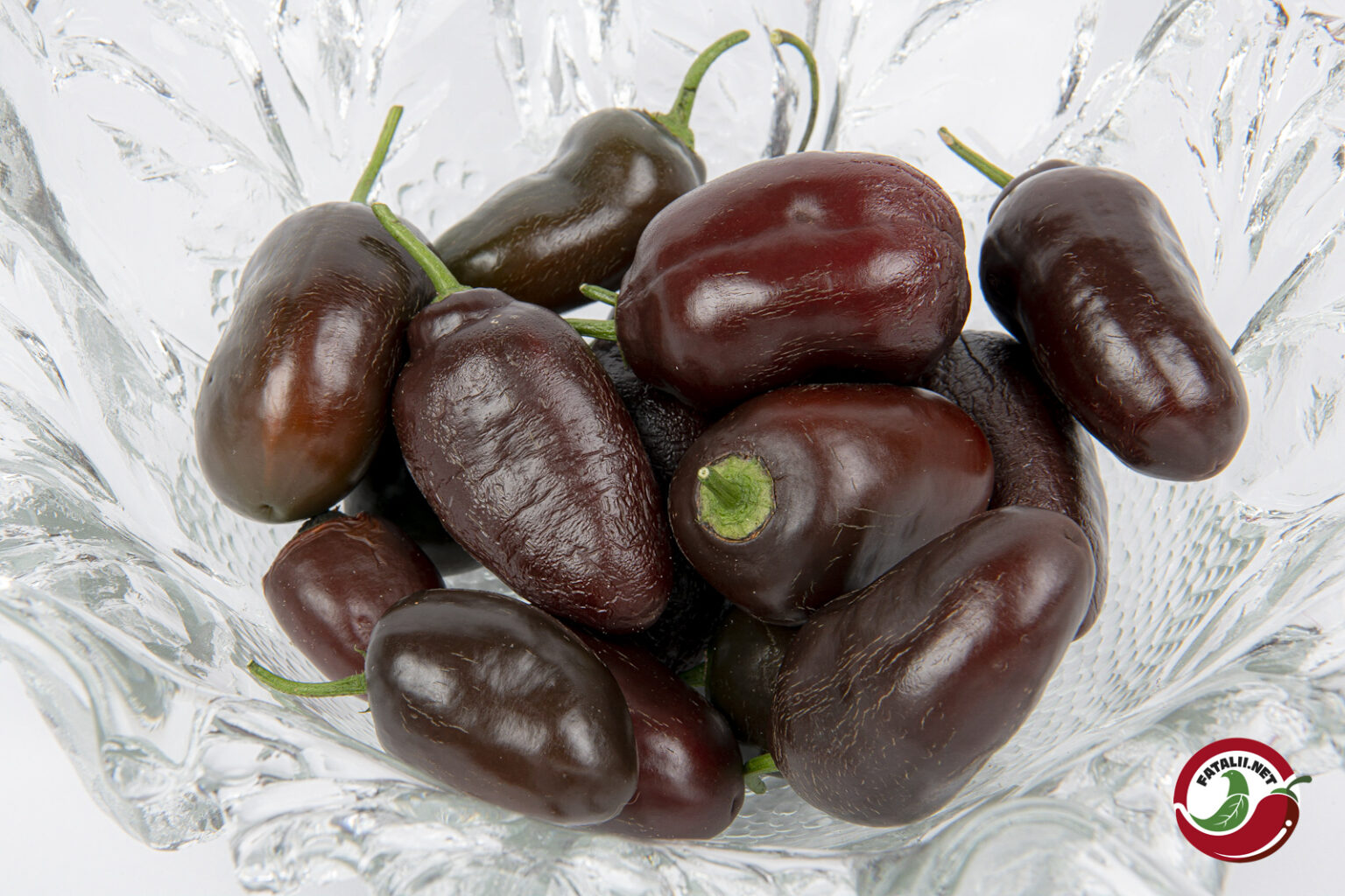 Rocoto, Brown – Fatalii Seeds