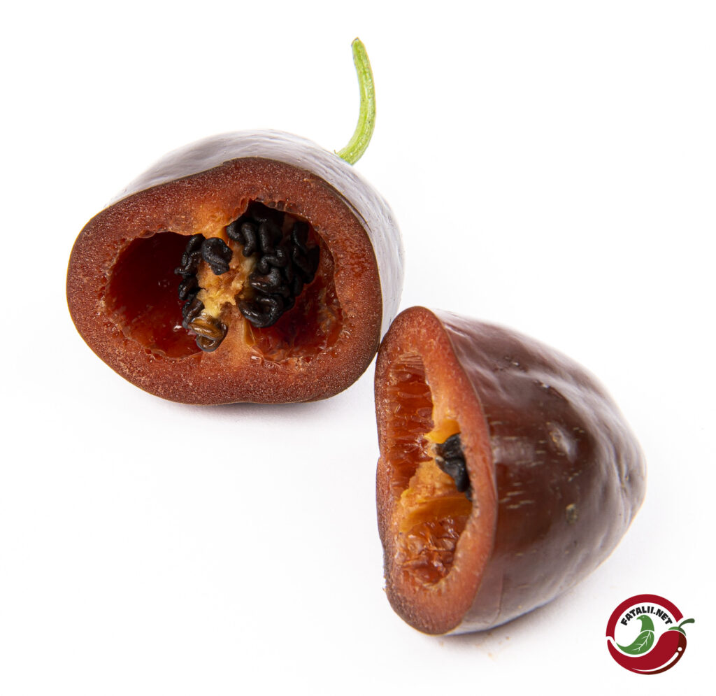 Rocoto, Brown – Fatalii Seeds
