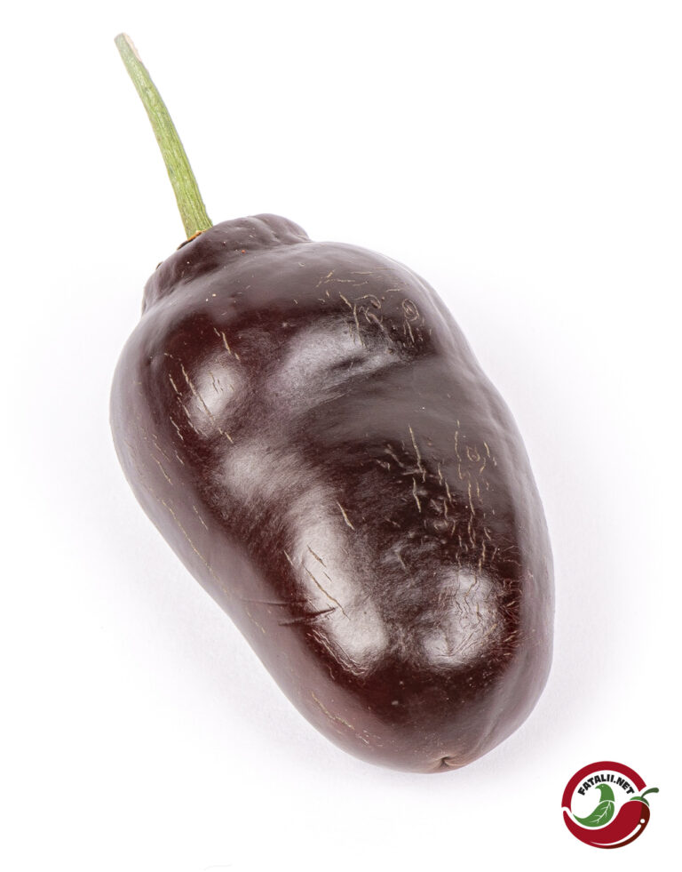 Rocoto, Brown – Fatalii Seeds