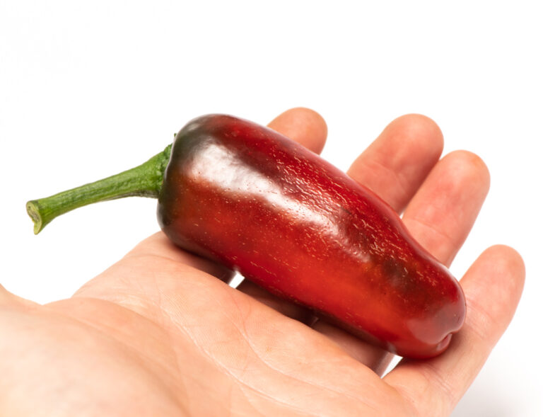 Jalapeno, Goliath – Fatalii Seeds