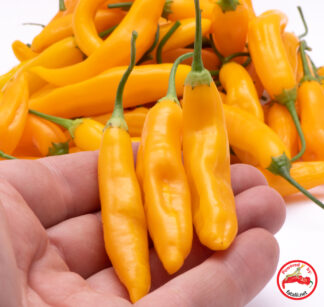 Aji Cito – Fatalii Seeds