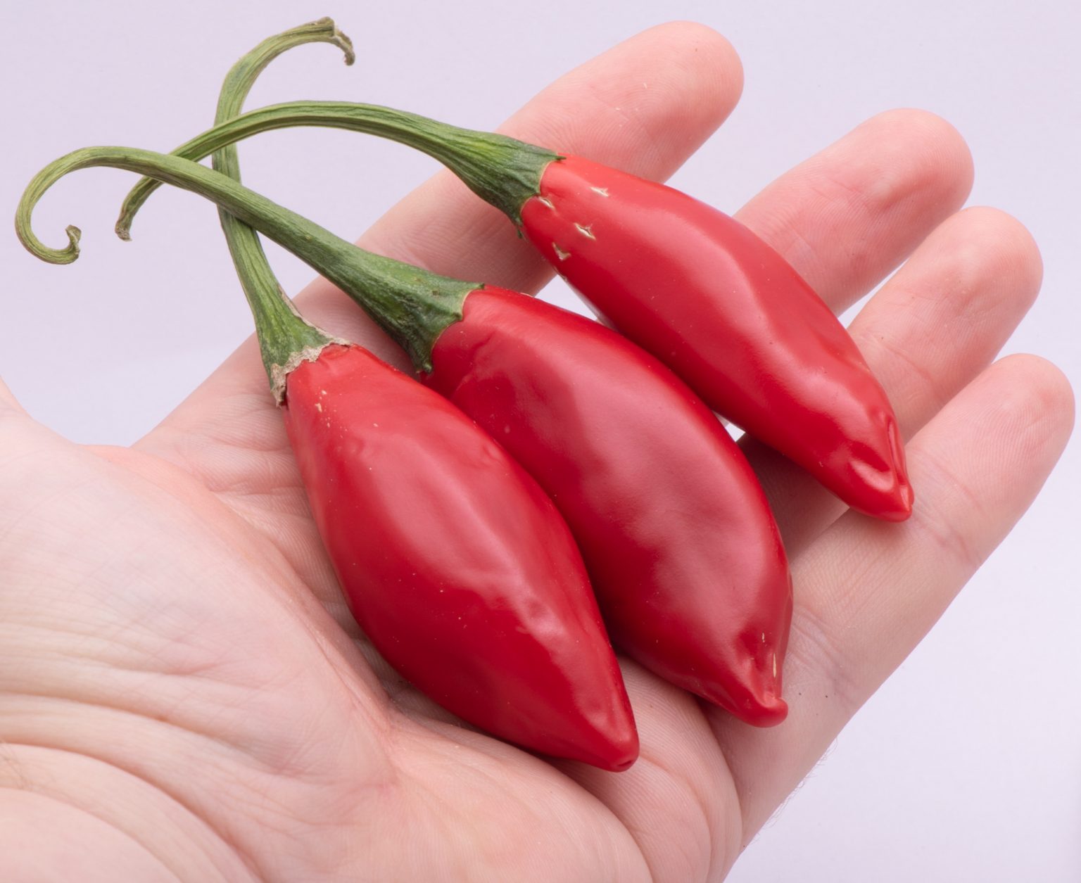 Aji Norteno – Fatalii Seeds