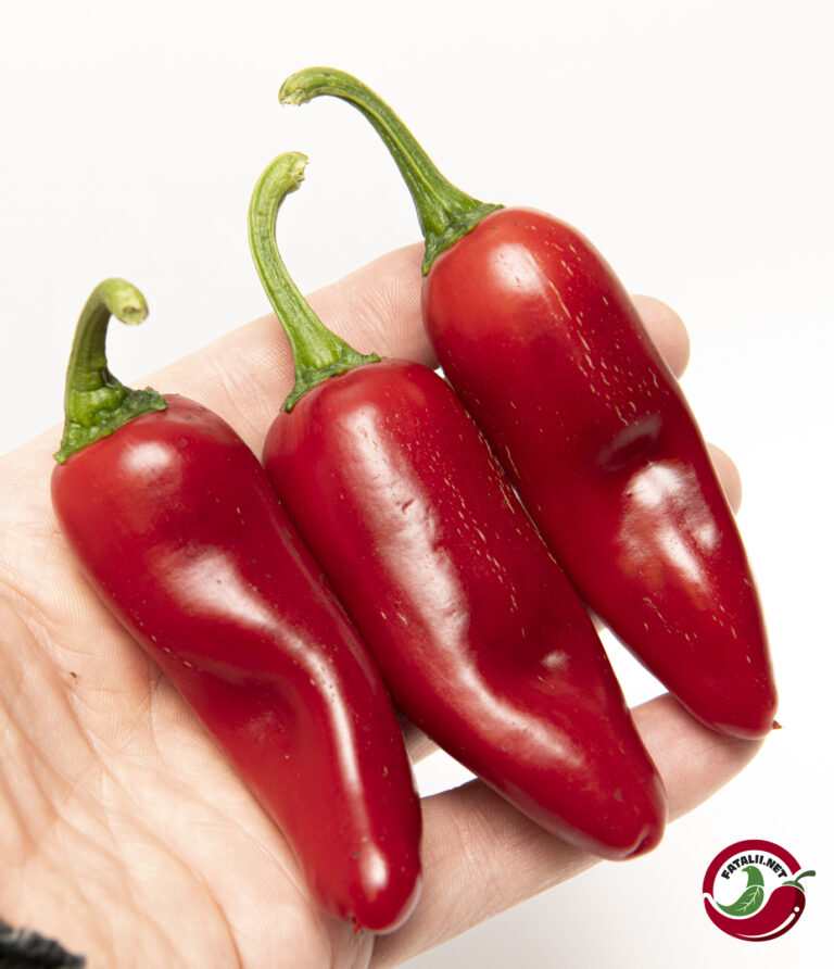 Jalapeno, Goliath – Fatalii Seeds