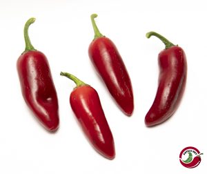 Jalapeno, Goliath – Fatalii Seeds