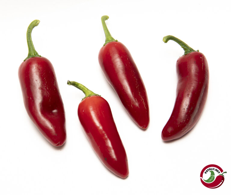 Jalapeno, Goliath – Fatalii Seeds