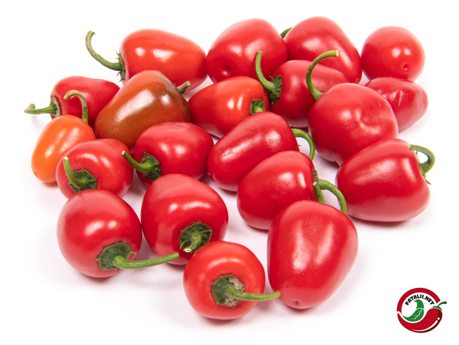 Rocoto, Mini Red – Fatalii Seeds