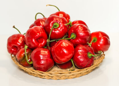 Rocoto, Red Peruvian – Fatalii Seeds