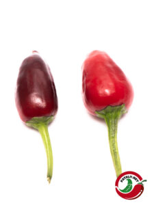 Peruvian Purple – Fatalii Seeds