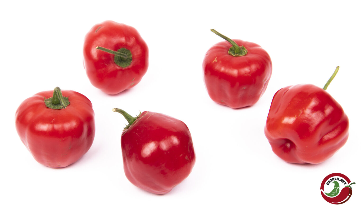 Rocoto, Red Peruvian – Fatalii Seeds