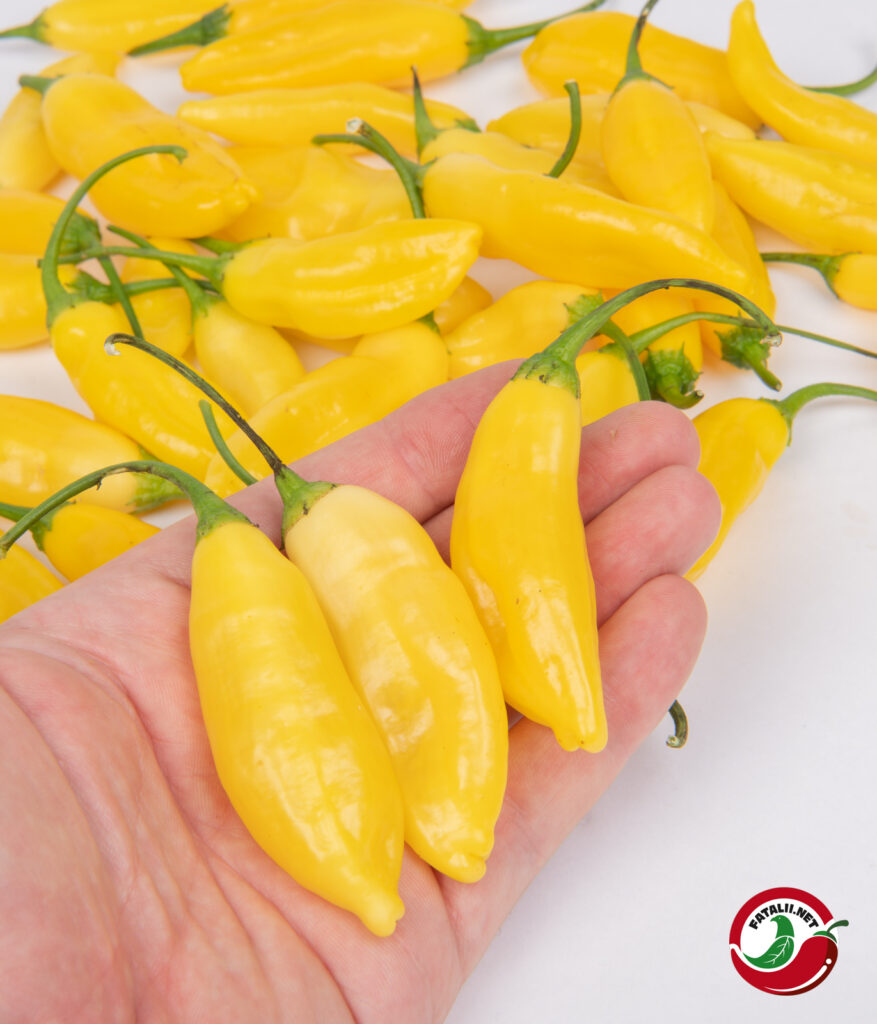 Blended Lemon, Yellow – Fatalii Seeds