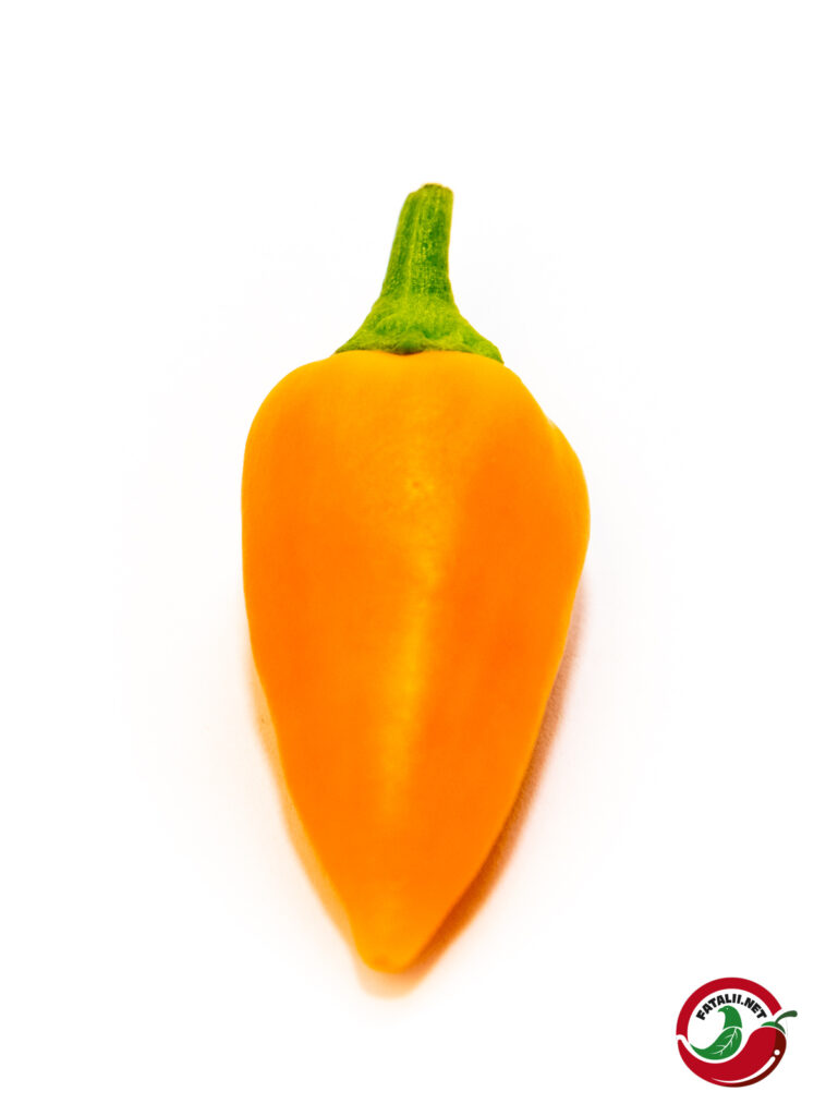 Pequin, Orange – Fatalii Seeds