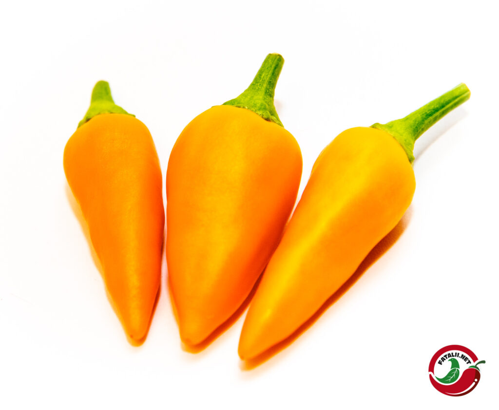 Pequin, Orange – Fatalii Seeds