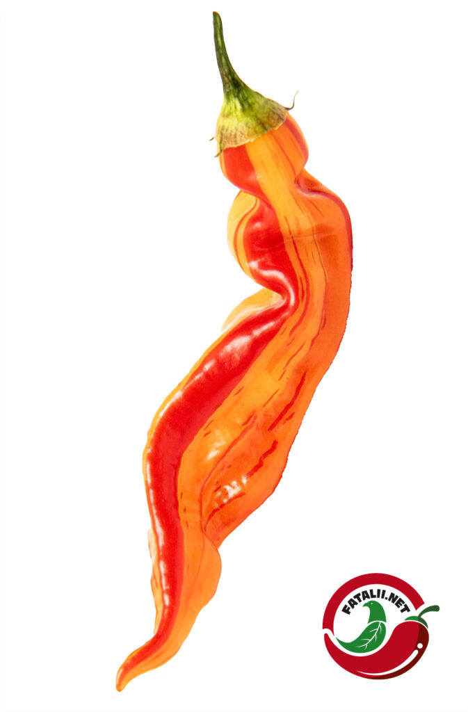 Fatalii’s Favorites – Fatalii Seeds