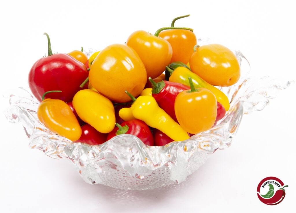 Savustettu Rocoto Premium Chilijauhe 4ml – Fatalii Seeds