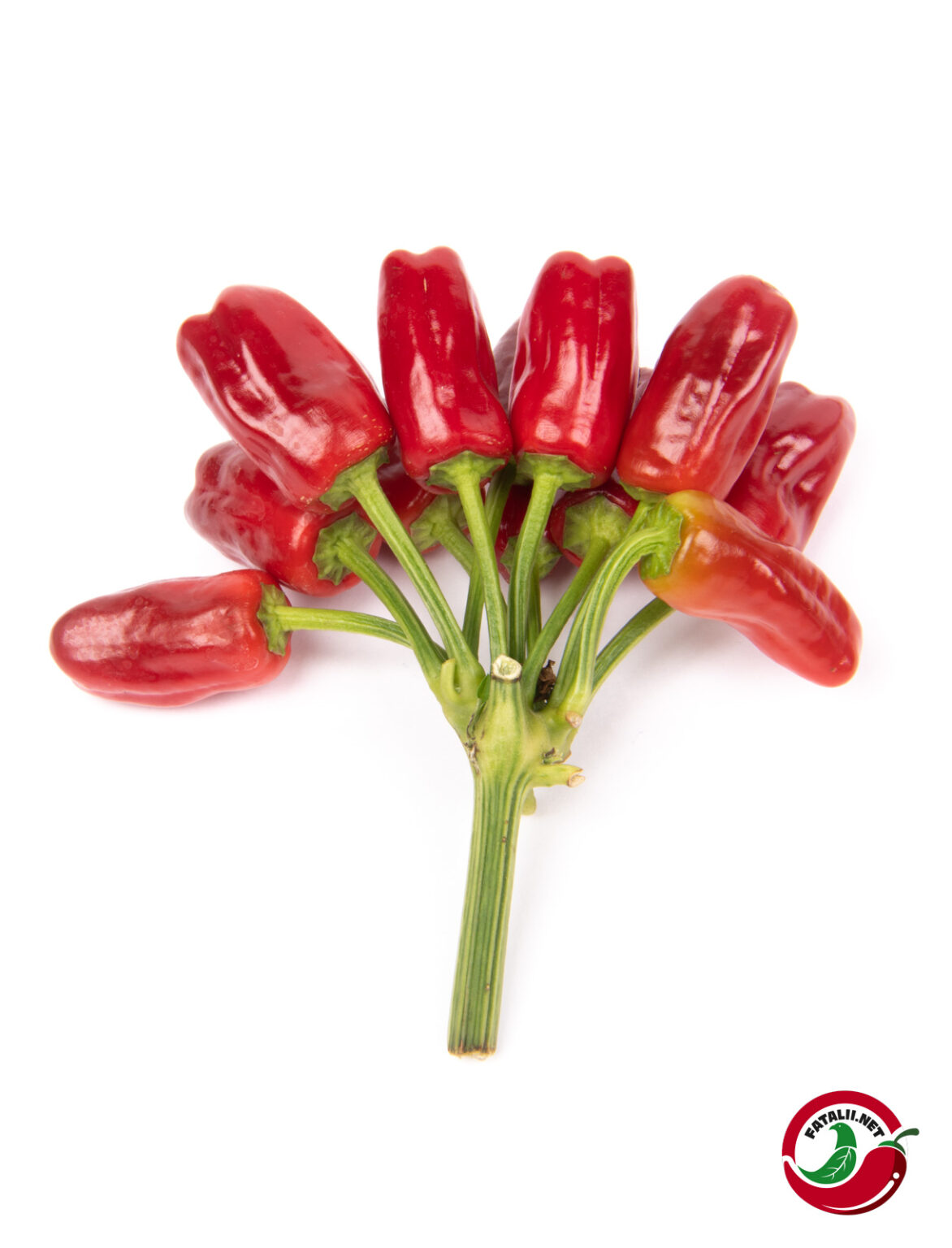 Turkish Flower Pepper – Fatalii Seeds