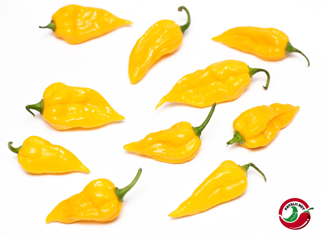 Fatalii – Fatalii Seeds