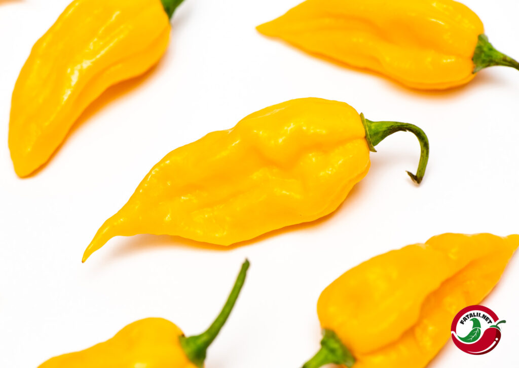 Fatalii – Fatalii Seeds