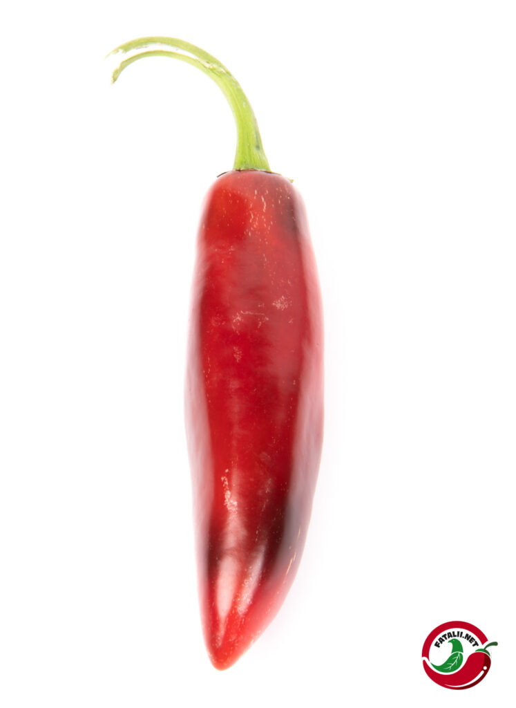 Jalapeno, Felicity – Fatalii Seeds