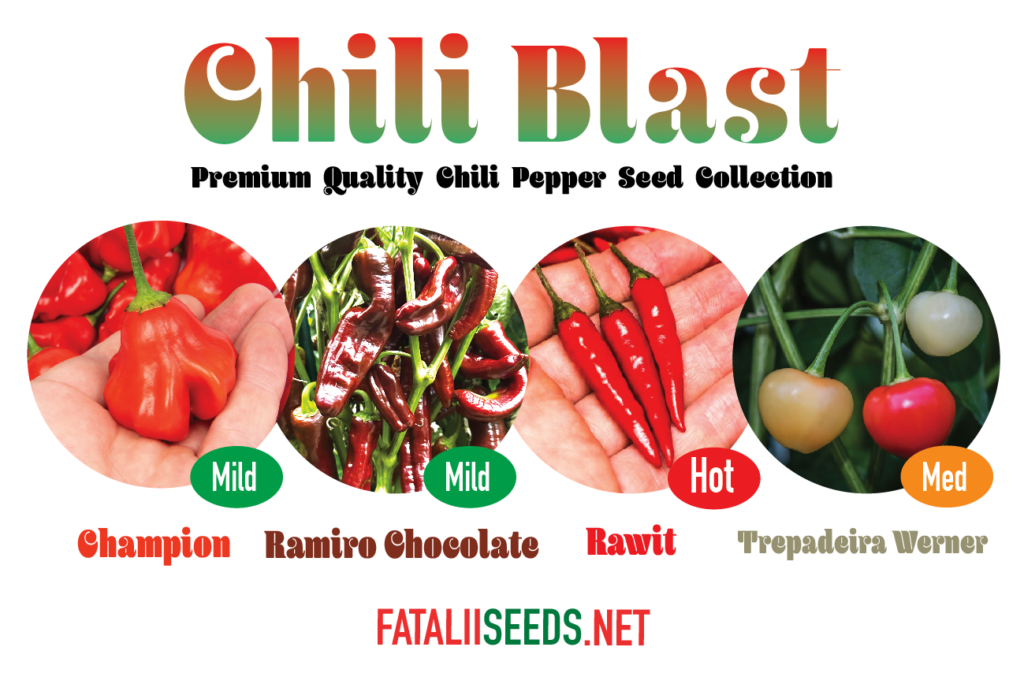 Chili Blast (Seed Kit) – Fatalii Seeds