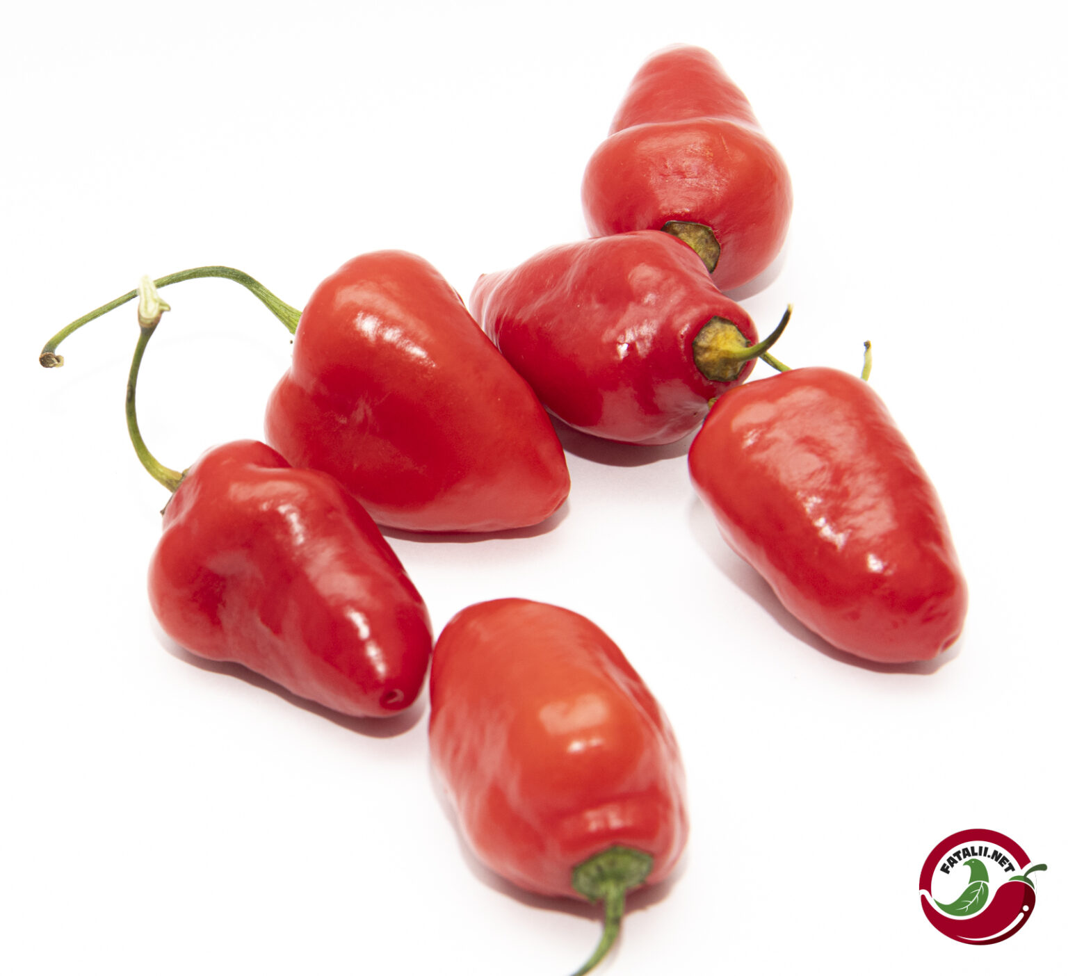 Rocoto, Aji Largo – Fatalii Seeds