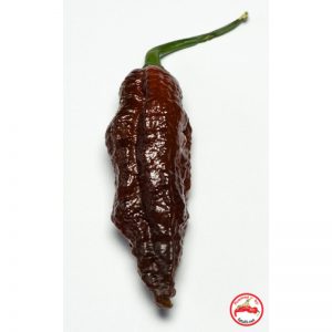 Black Naga – Fatalii Seeds